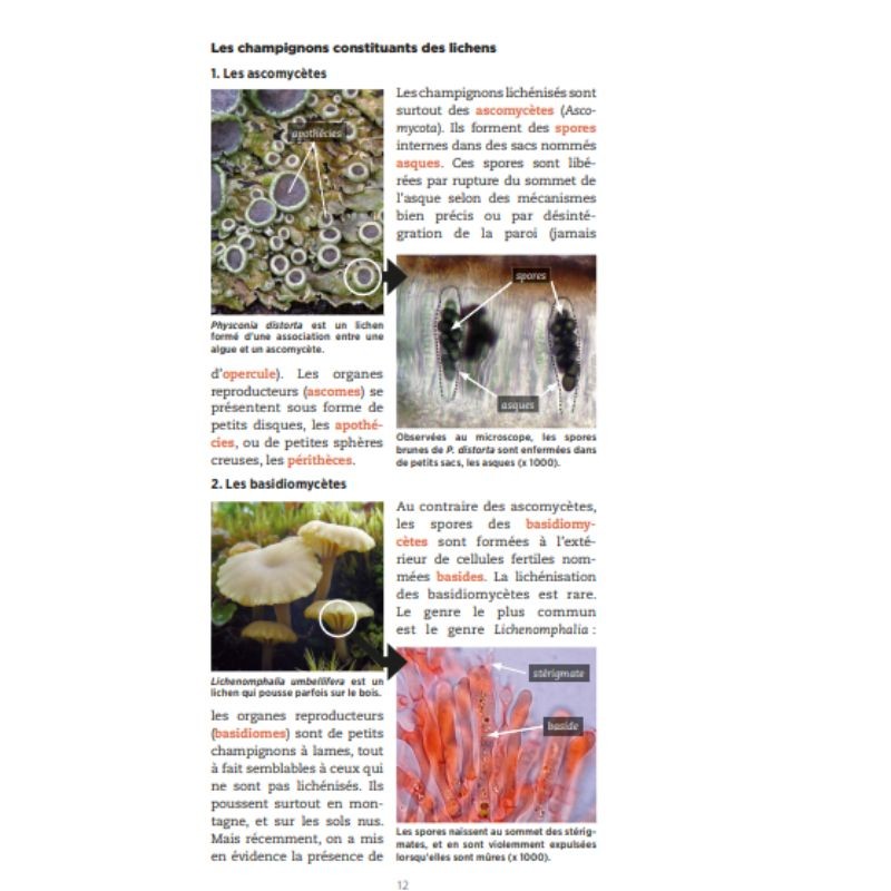 Guide des lichens de France – Lichens des arbres Guide des lichens de France – Lichens des arbres