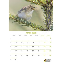 Calendrier des Oiseaux 2025